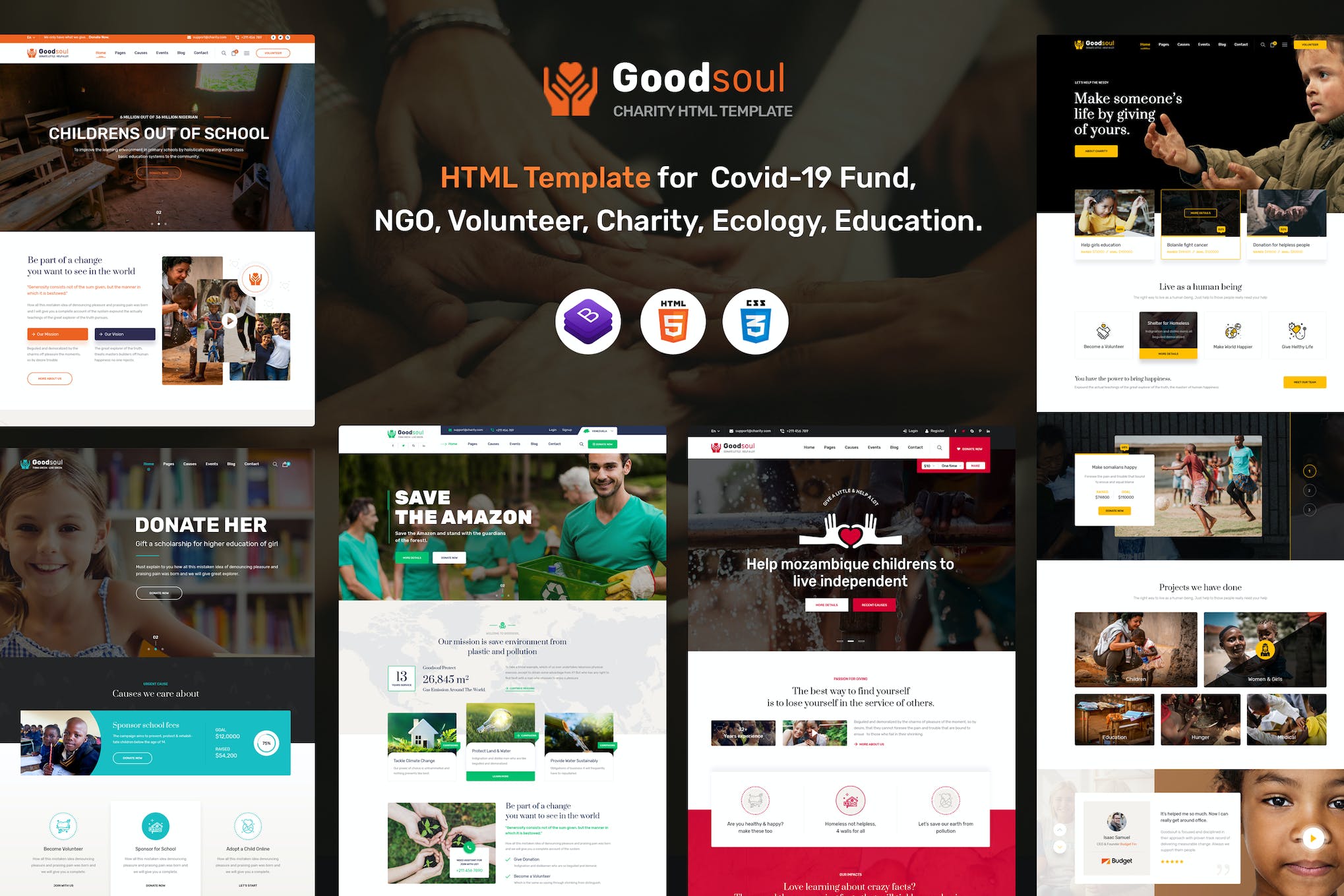 GoodSoul - Charity and Fundraising HTML Template- Download for Wordpress