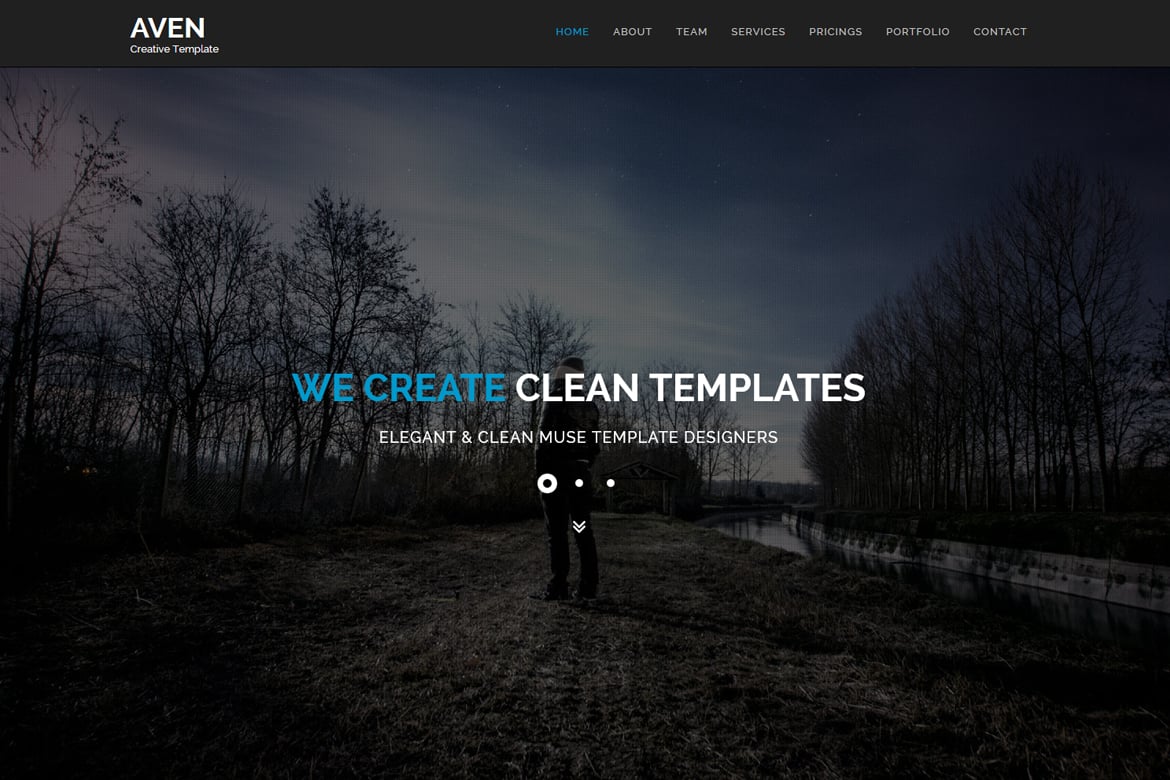 Aven - Multipurpose Parallax HTML Template