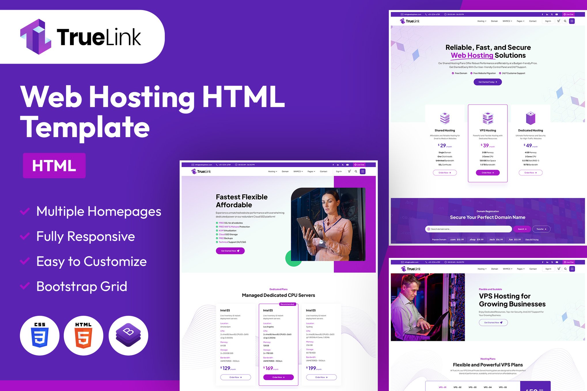 TrueLink- Web Hosting HTML Template